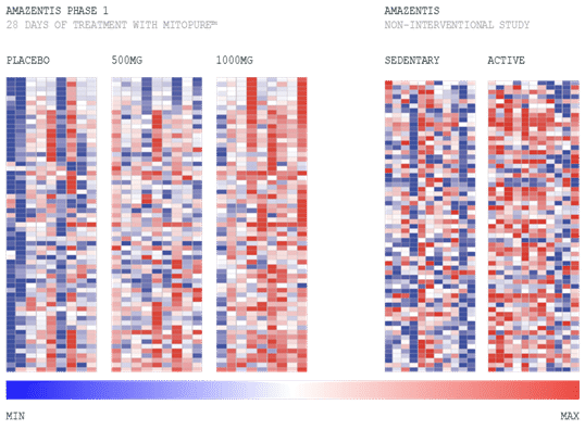 Urolithin A: The Game-Changing Nutrient for Healthy Aging